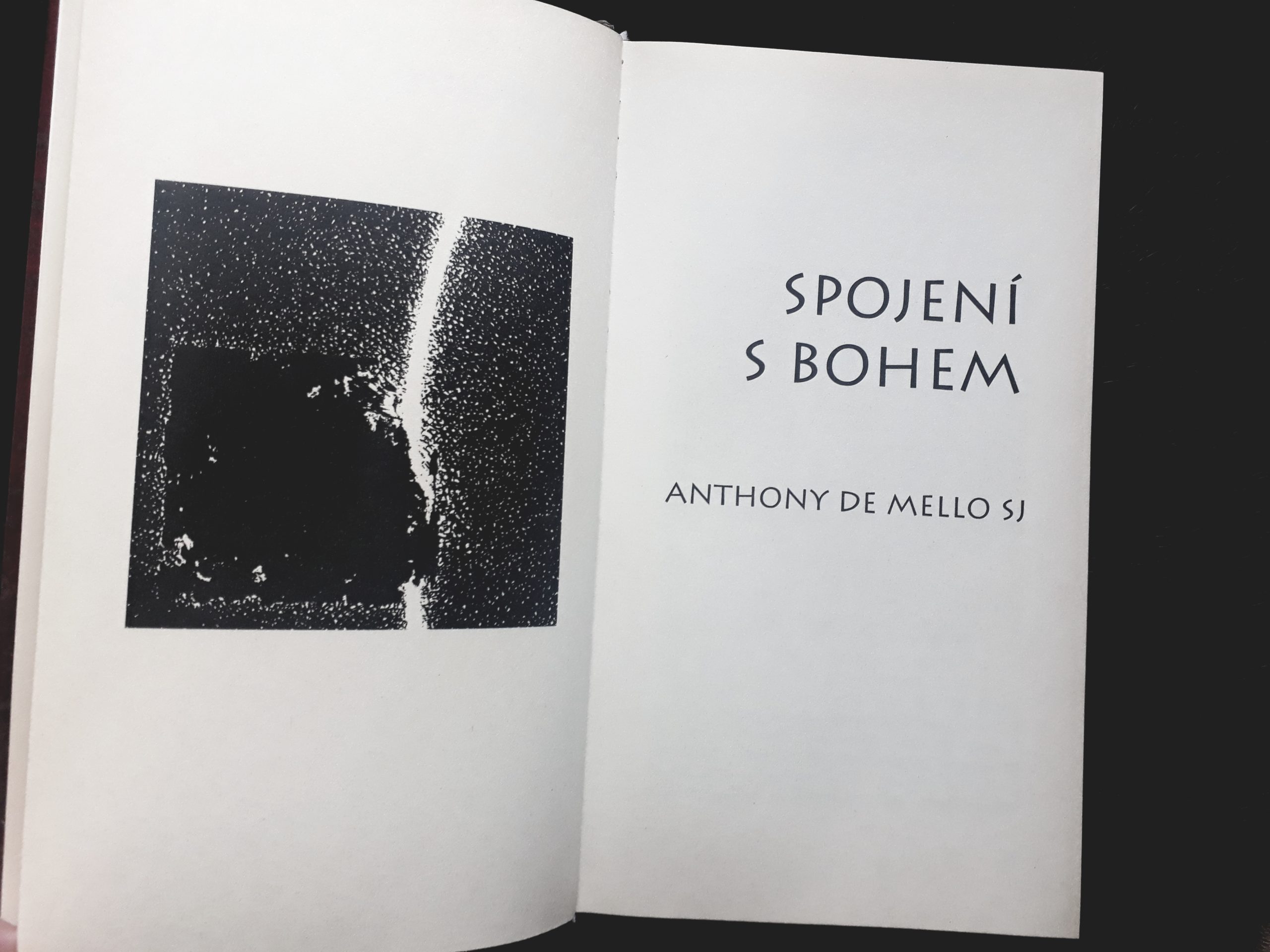 Anthony de Mello: Spojení s Bohem (Exerciční promluvy) - Zelený dom