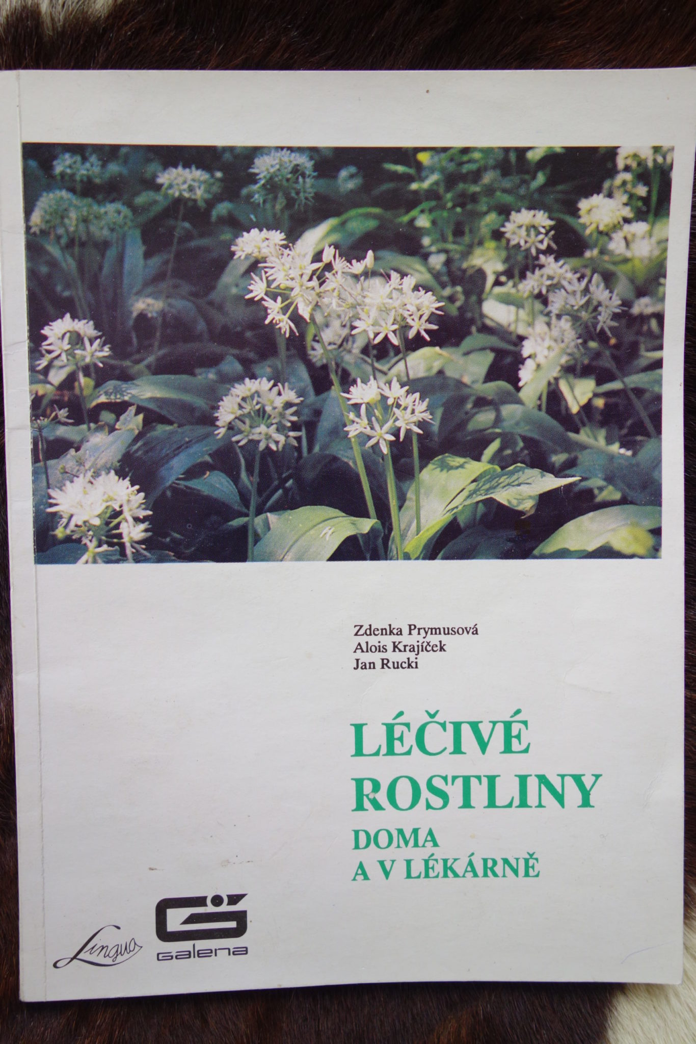 Zdenka Prymusová a kol.: Léčivé rostliny doma a v lékárně - Zelený dom