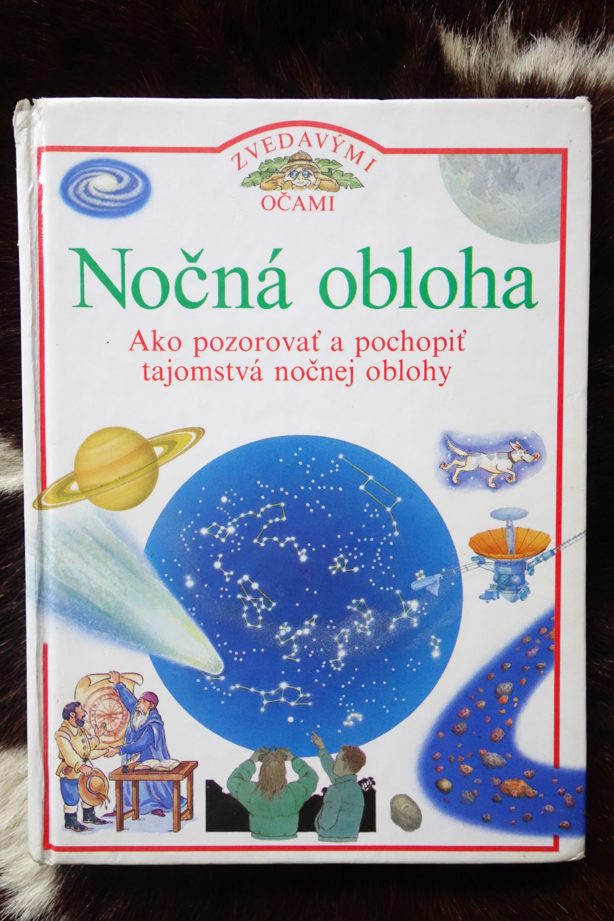 Carrole Stottová: Nočná obloha - Zelený dom